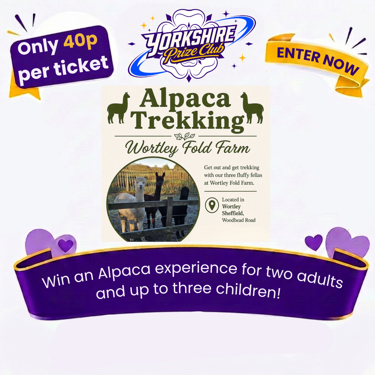 Walk Like an Alpaca - Yorkshire Prize Club